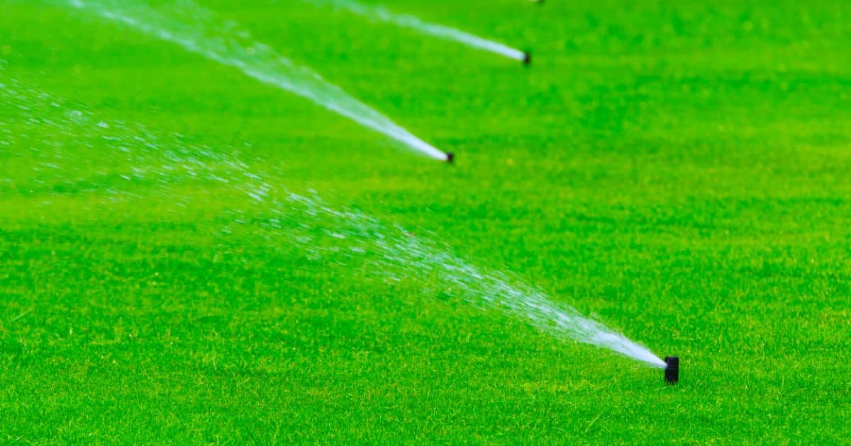 5 Landscape Design Trends to Implement This Year in Charlotte, NC | G&G ...