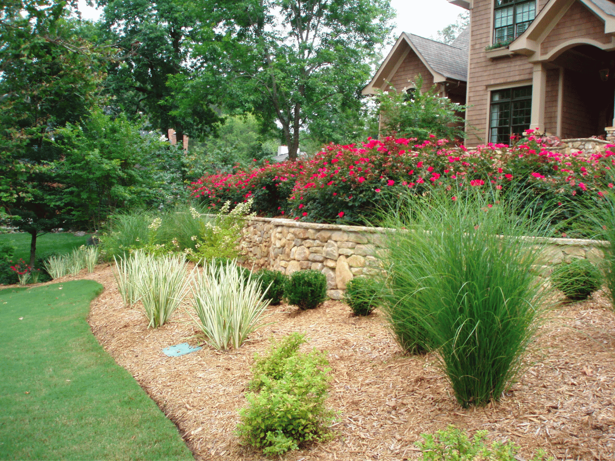 4 Reasons to Include Charlotte, NC Native Plants in Your Landscape | G ...