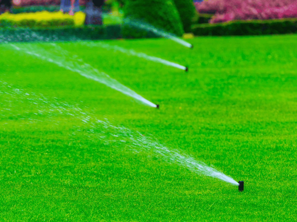 How Proper Irrigation Can Save Money Over the Long-Term | G&G Landscape