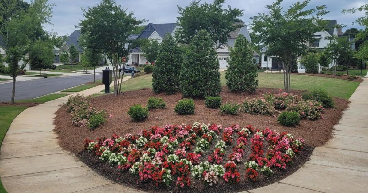 Creating Depth & Dimension in Your Landscape Design Plans