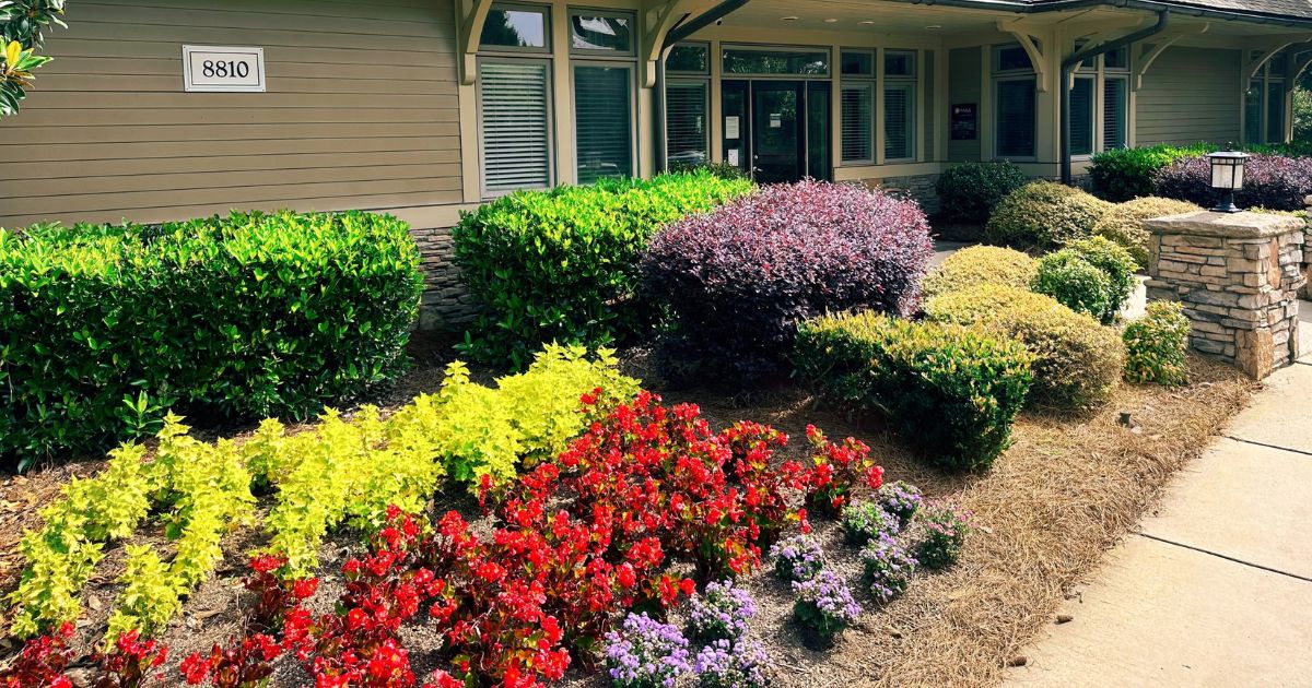 Creating Depth & Dimension in Your Landscape Design Plans in Charlotte, NC